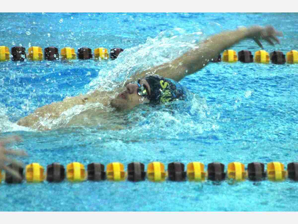Saline Swim and Dive Hands Dexter First Loss137 - The Sun Times News