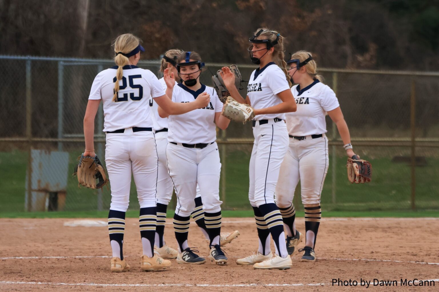 Chelsea Softball Takes Control of SEC White with Win Over Tecumseh ...