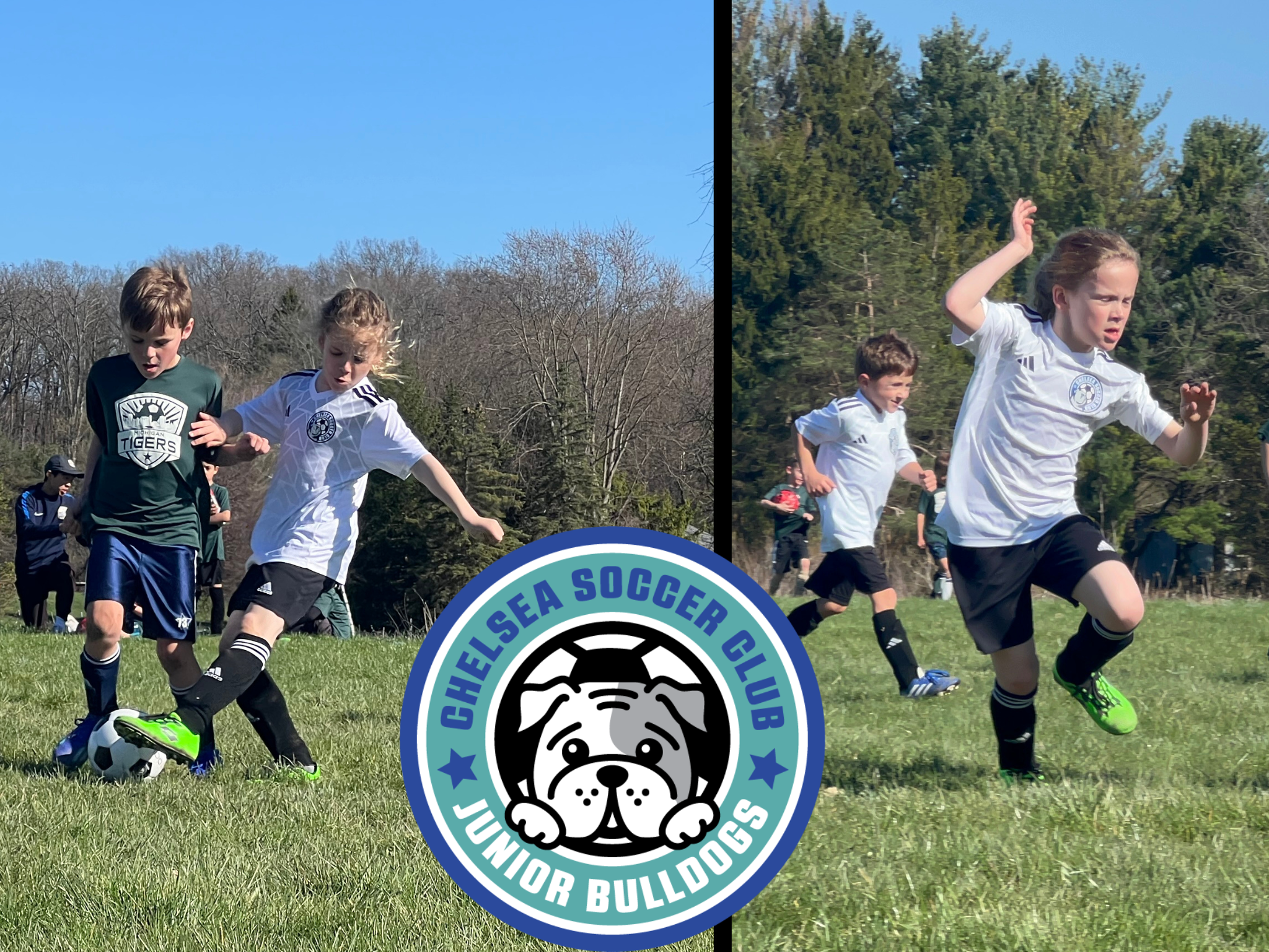 Chelsea Soccer Club 2024-25 Season - The Sun Times News