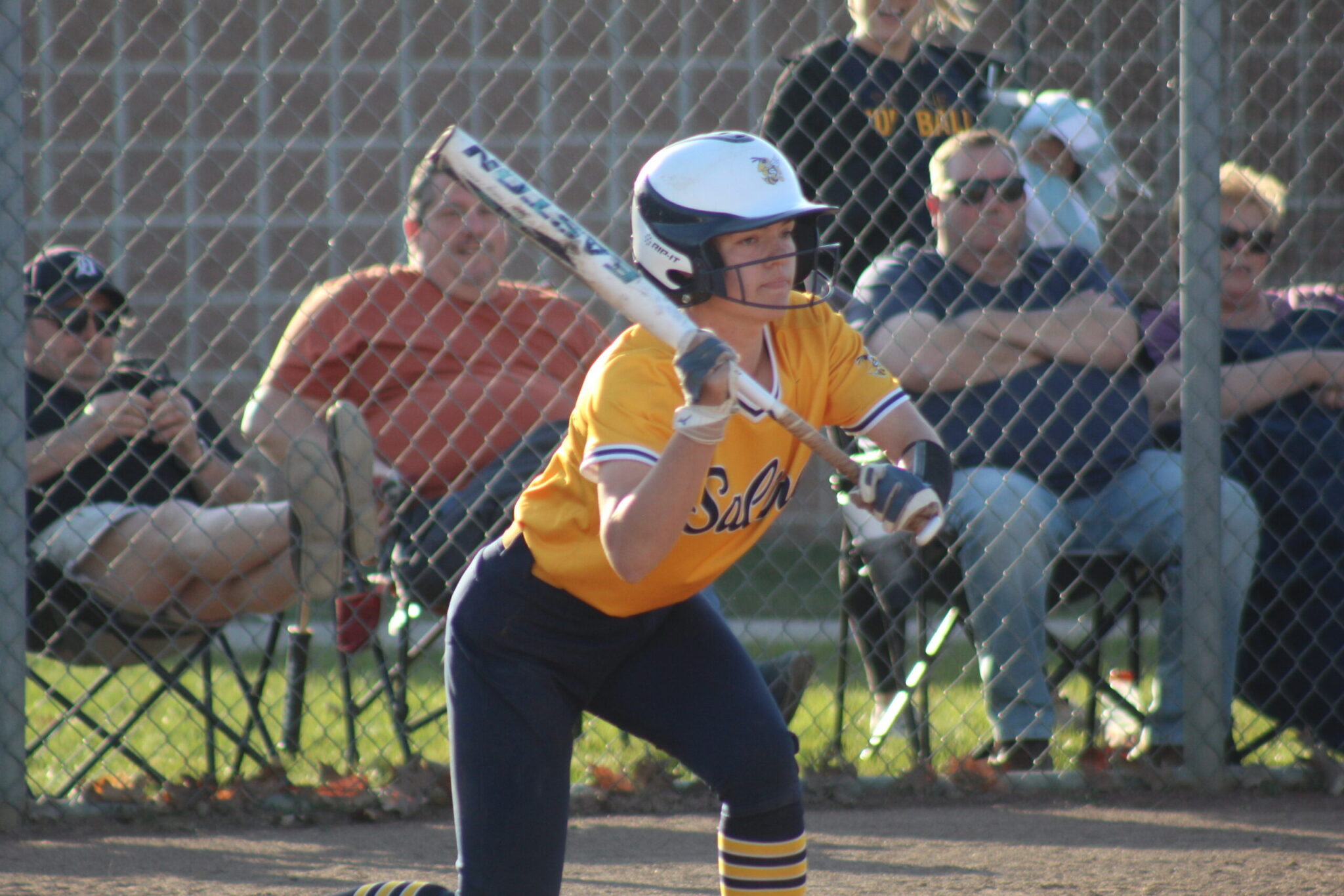 Saline Softball Clinches Share of SEC Red Title - The Sun Times News