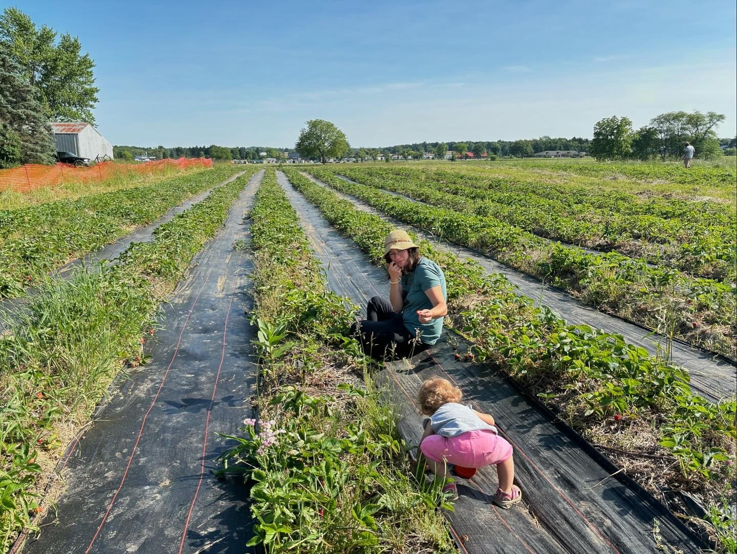 Jacob’s Fresh Farm: Making Local Food Sustainable - The Sun Times News
