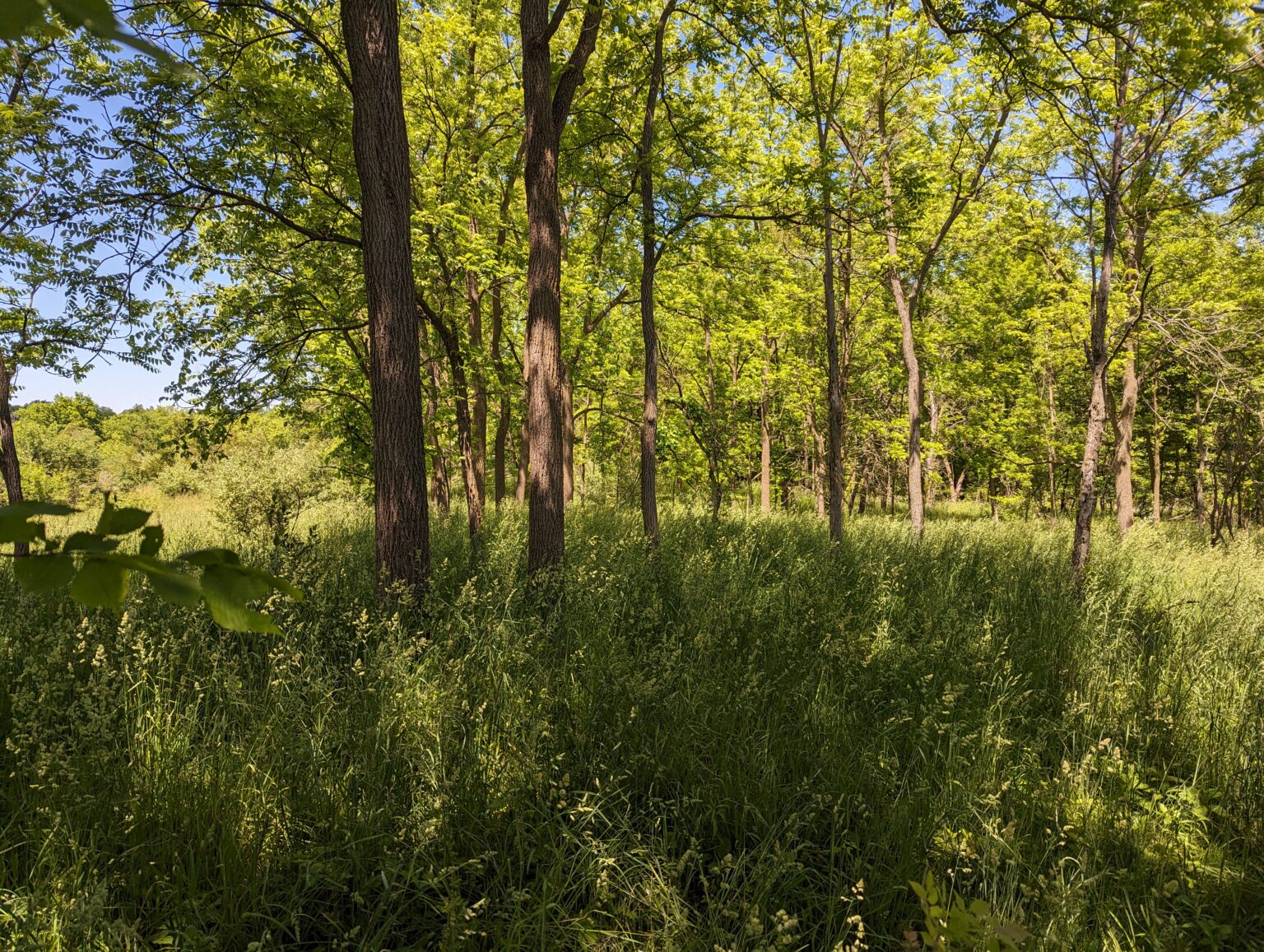 Webster Township Completes Land Preservation Project - The Sun Times News
