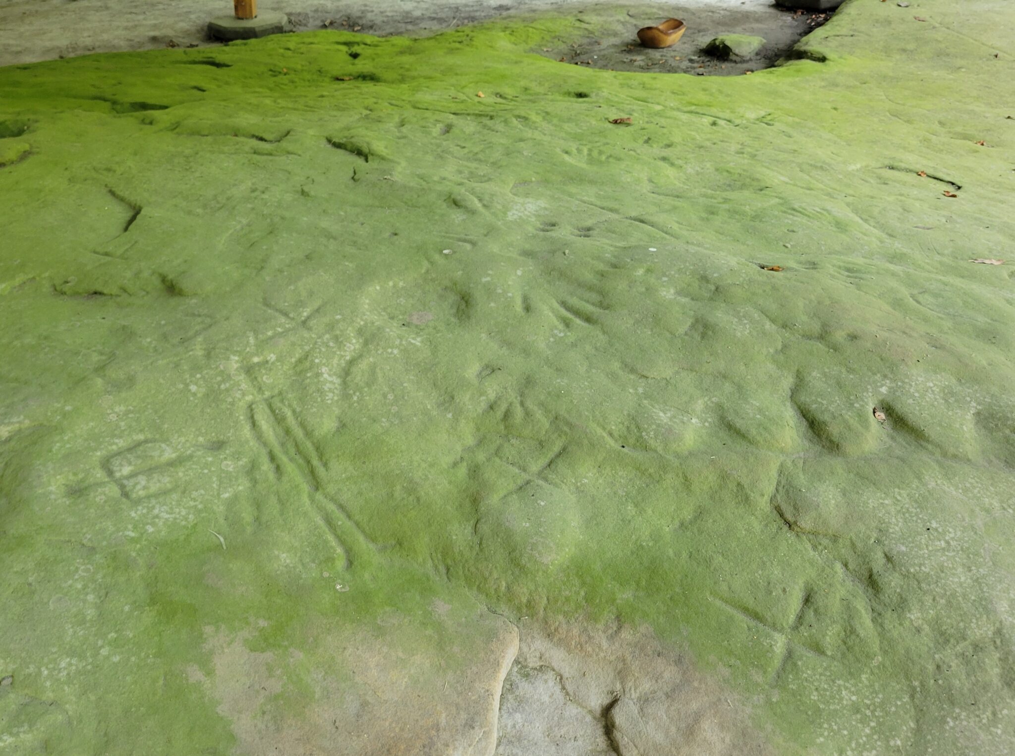 Uncovering the Secrets of Michigan's Ancient Petroglyphs - The Sun ...