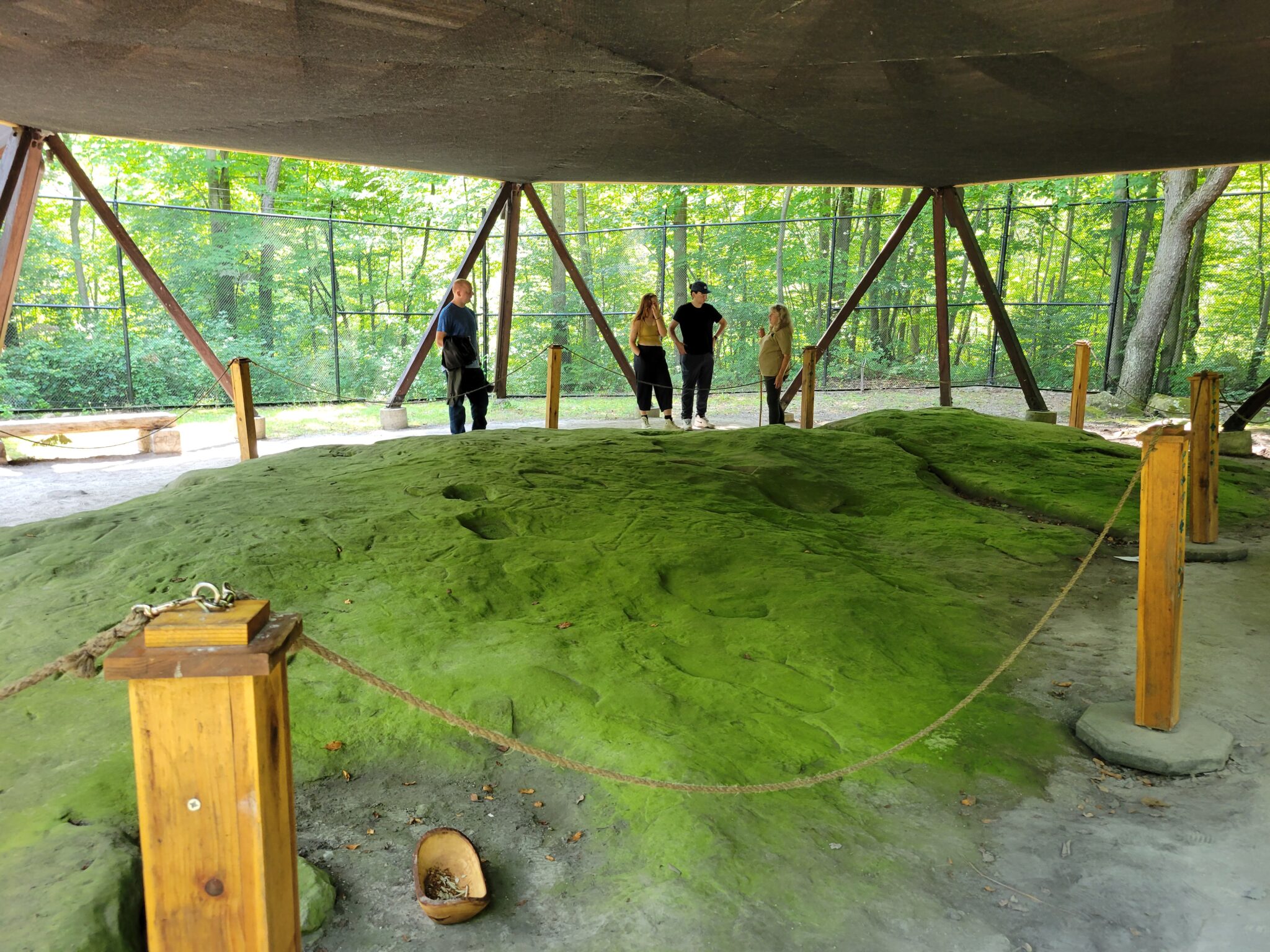 Uncovering the Secrets of Michigan's Ancient Petroglyphs - The Sun ...