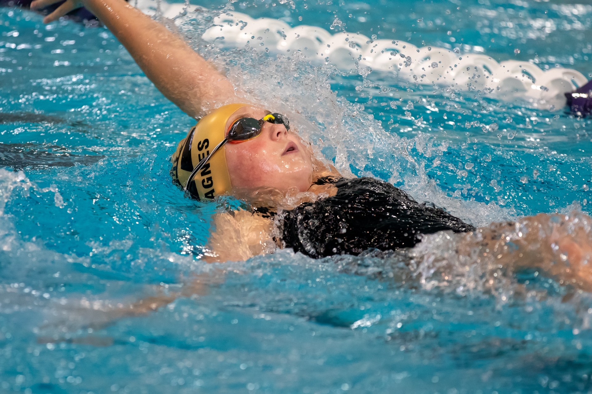 Dexter Girls' Swim and Dive Competes at Huron Relays - The Sun Times News