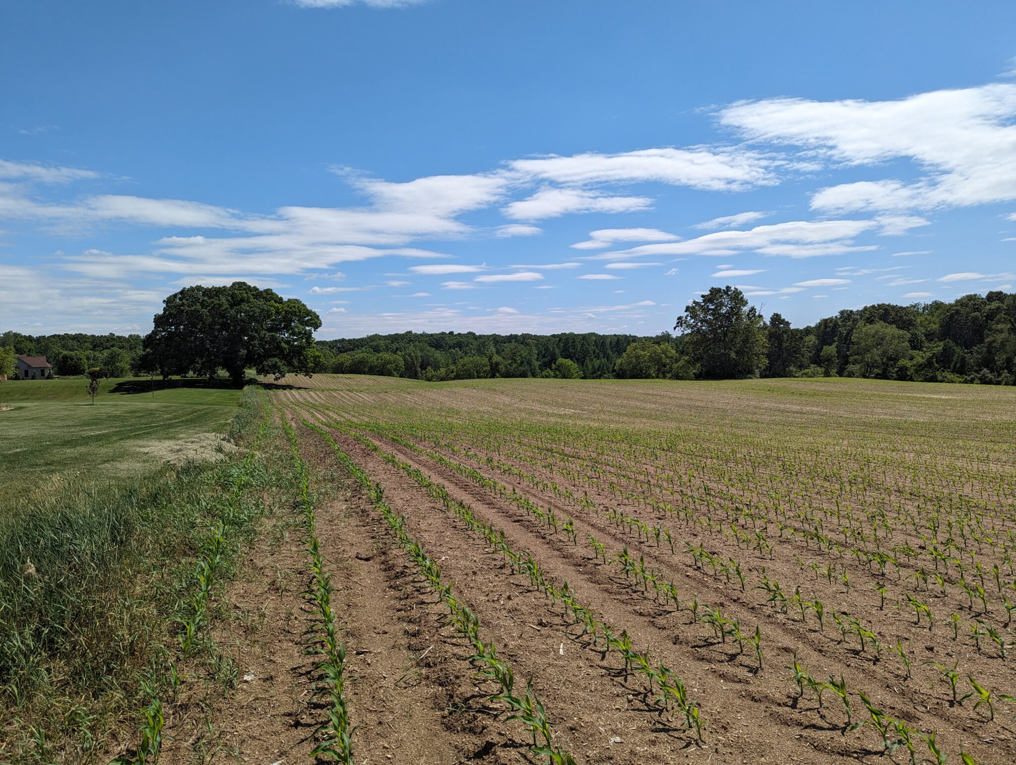 Webster Township Completes Land Preservation Project - The Sun Times News