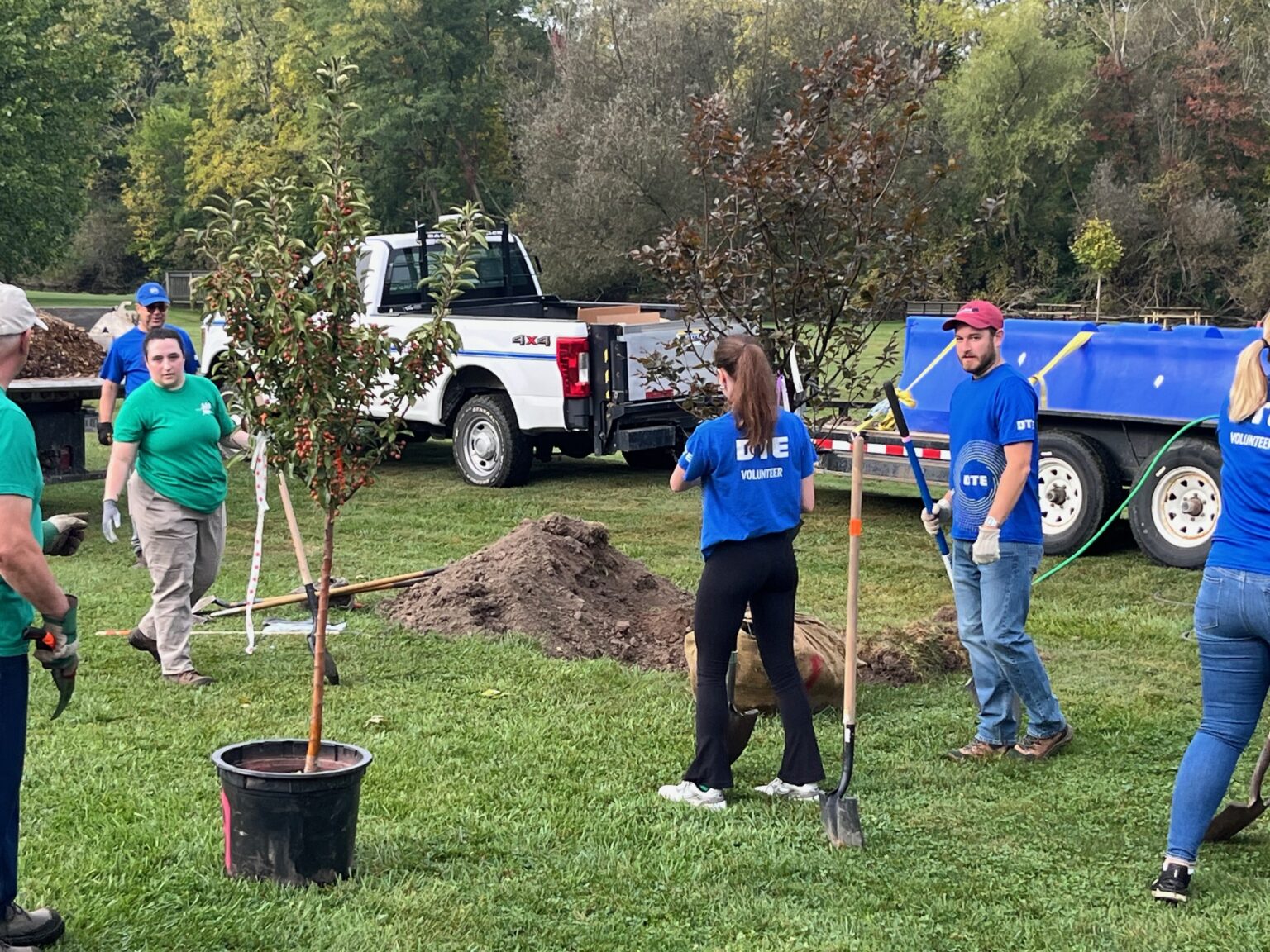 A Tree-Planting Partnership Lends a Hand in Saline - The Sun Times News