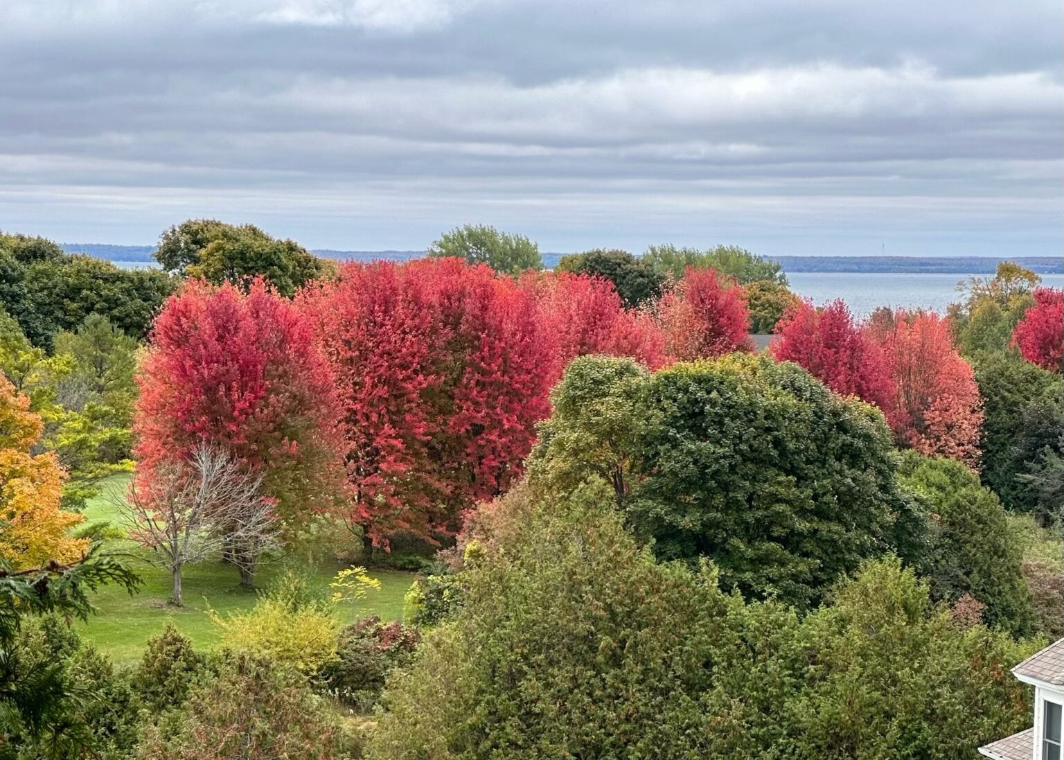 Fall Colors on Mackinac Island - The Sun Times News