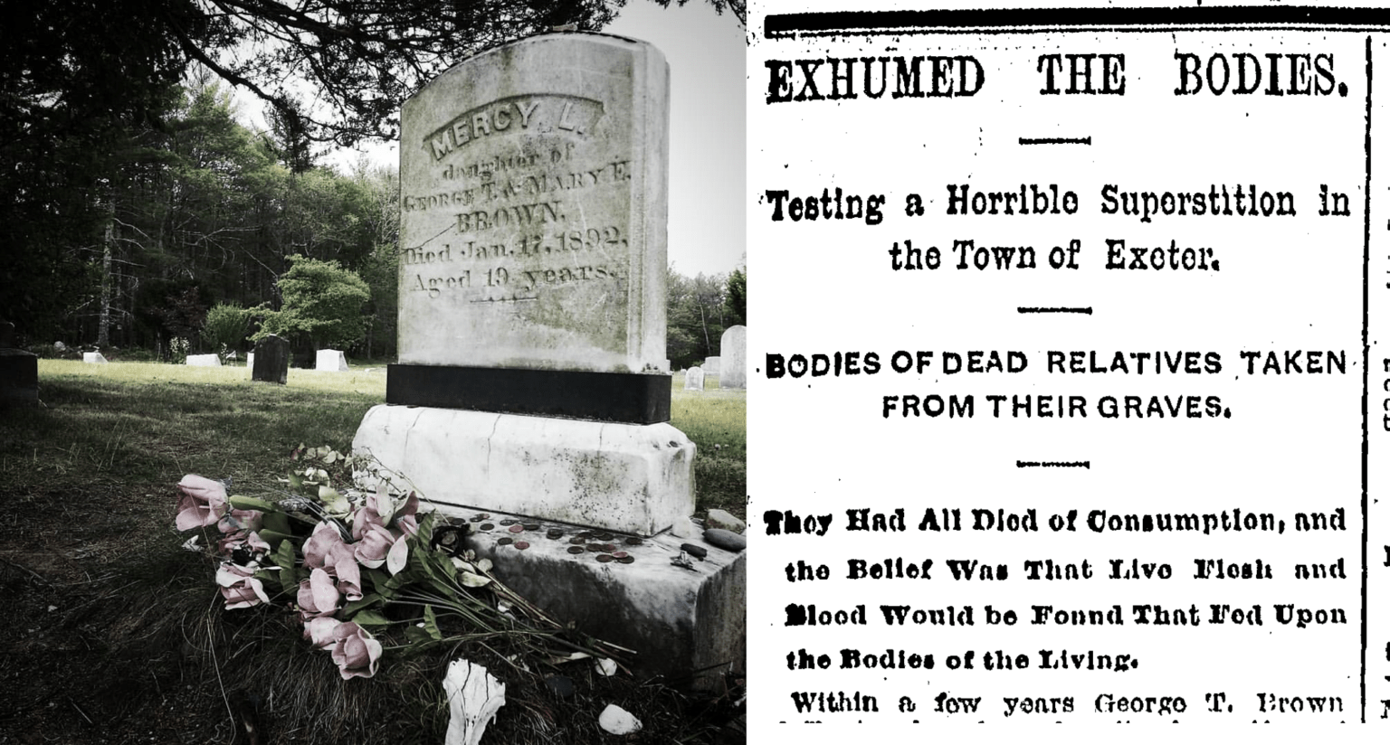 A True New England Vampire Story - The Sun Times News