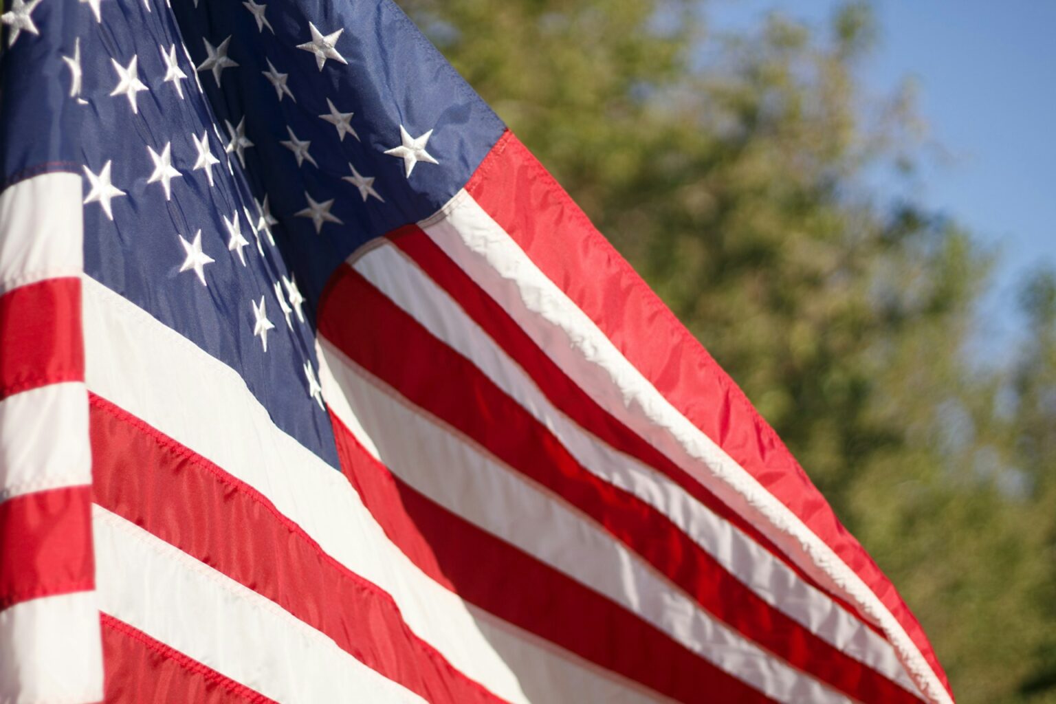 Kiwanis Club of Saline Flag Display Program for Veterans Day - The Sun ...