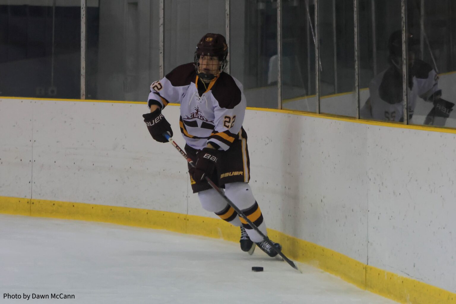 Dexter Hockey Wins Ninth Straight - The Sun Times News