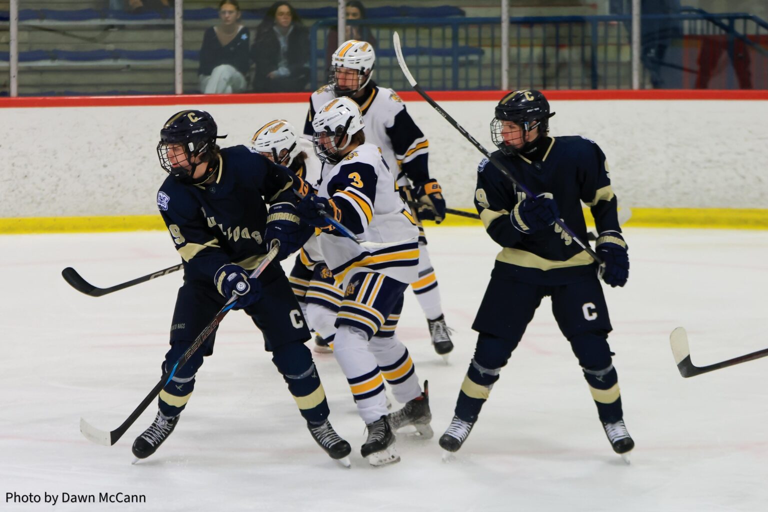 Chelsea Hockey Falls in Overtime - The Sun Times News