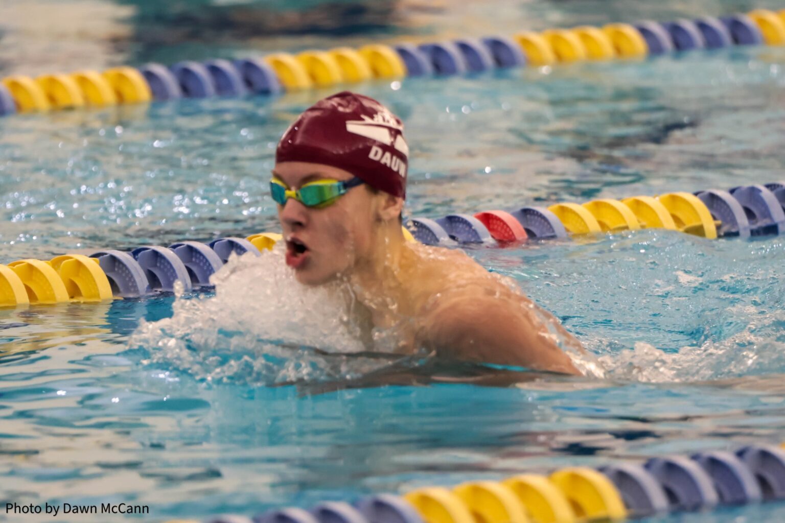 Dexter Swim and Dive Sweeps Royal Oak Quad - The Sun Times News