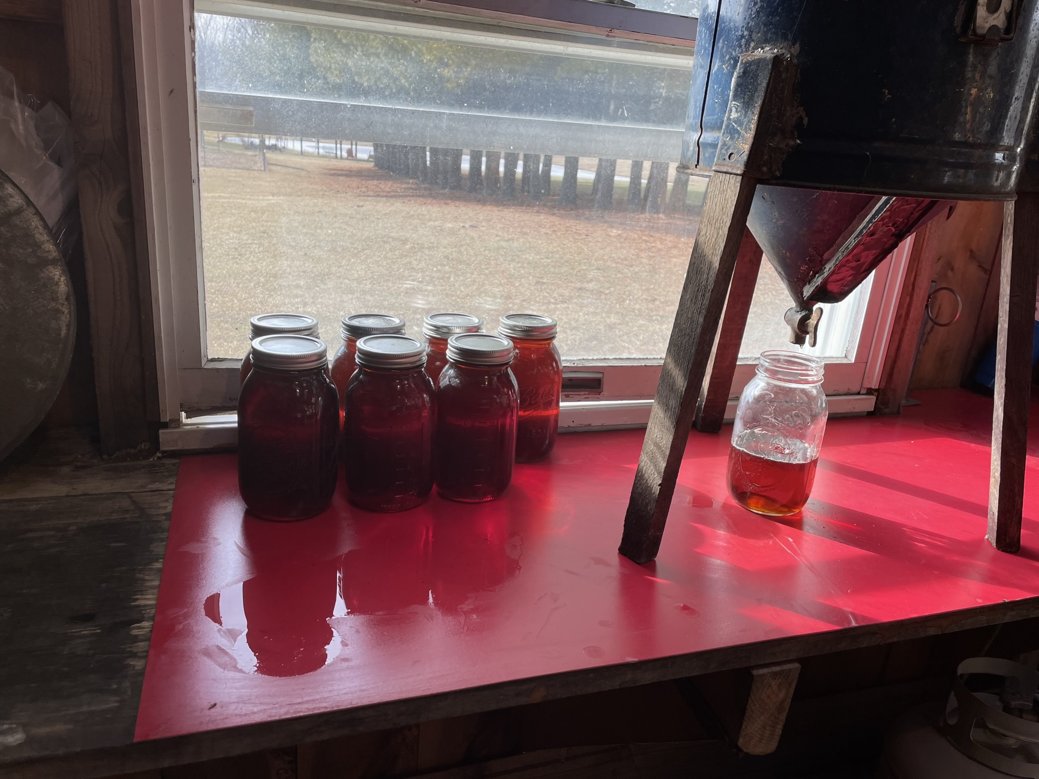 Sweet Tradition: The Sly Family’s Maple Syrup Legacy - The Sun Times News