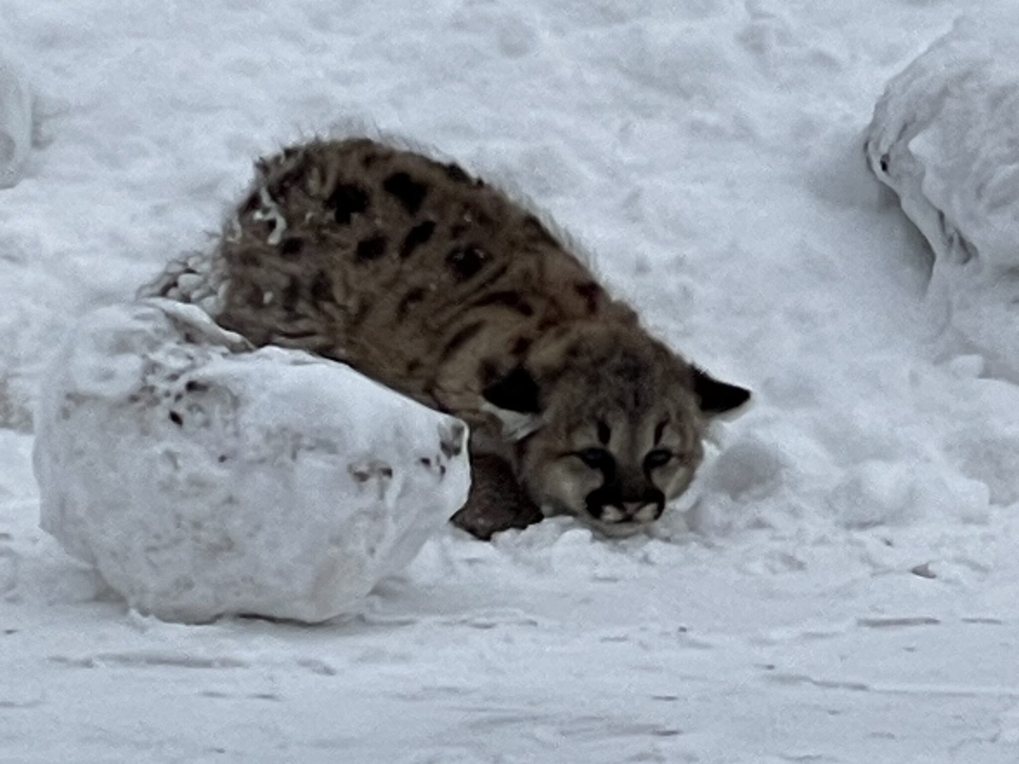 Home - The Sun Times News