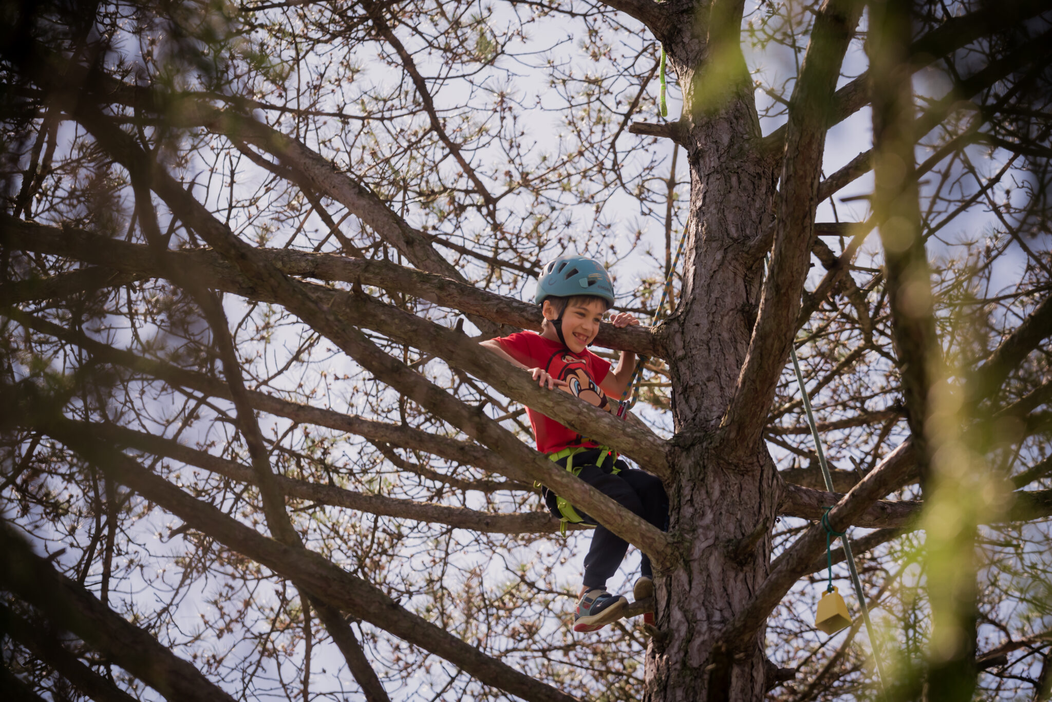 tree climb-18 - The Sun Times News