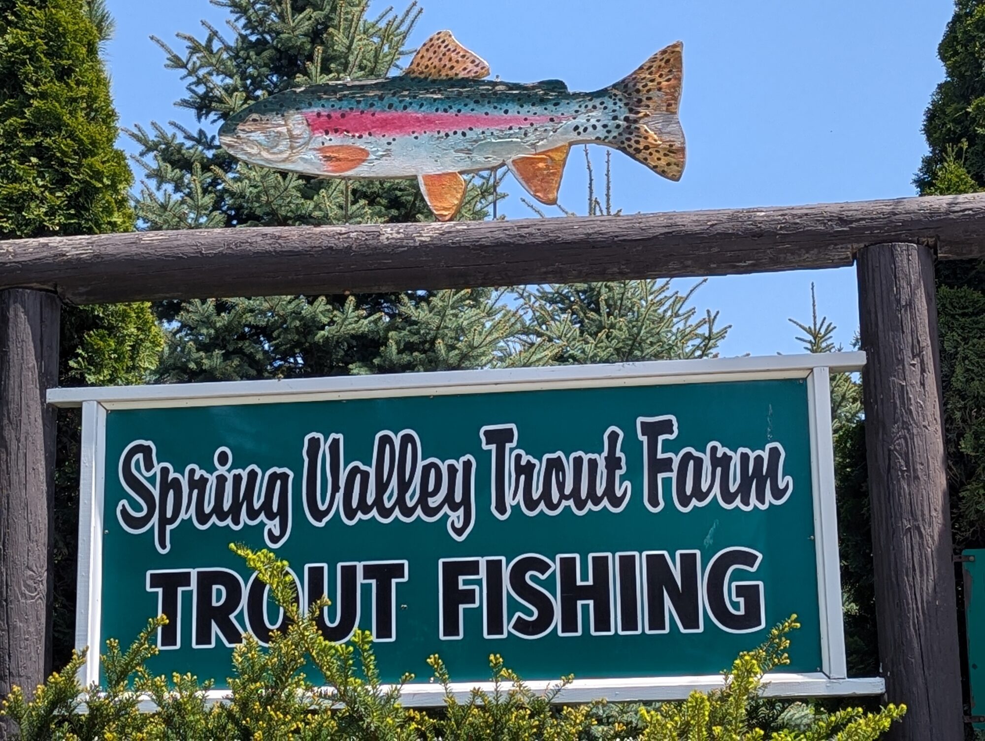 Spring Valley Trout Farm Passes the Rod to a New Generation in Dexter ...