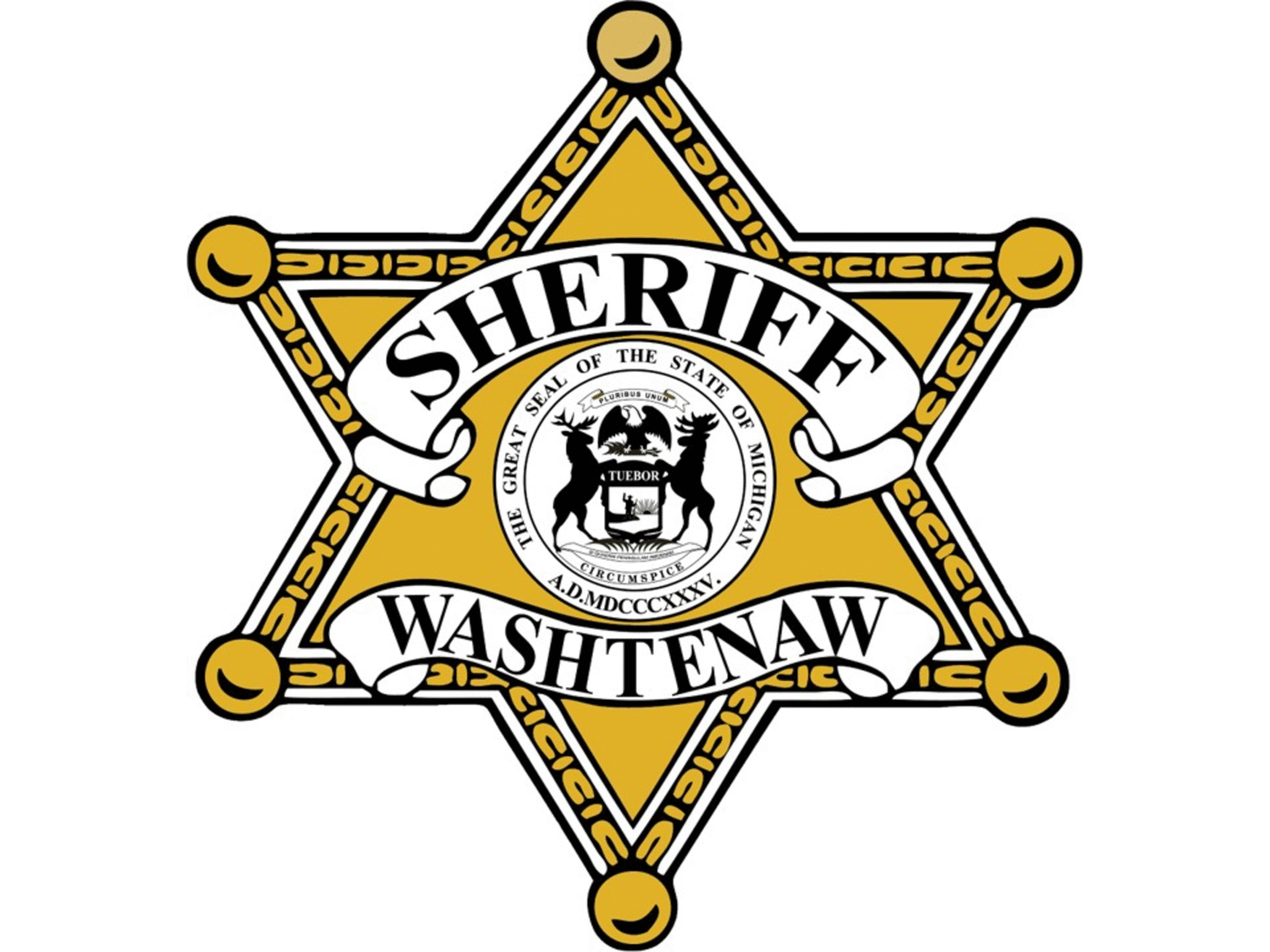 Federal Immigration Activity in Ypsilanti Prompts Clarification from ...