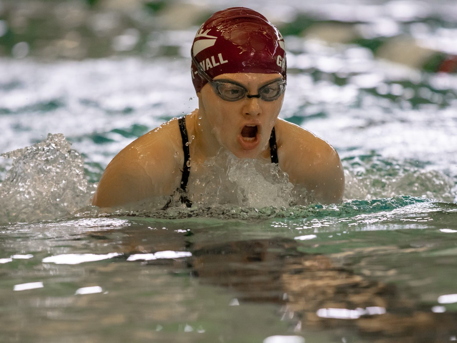 Dexter Swim and Dive Drops Pair at Milan Tri-Meet - The Sun Times News