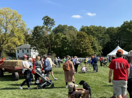 42nd Annual Webster Fall Festival - The Sun Times News