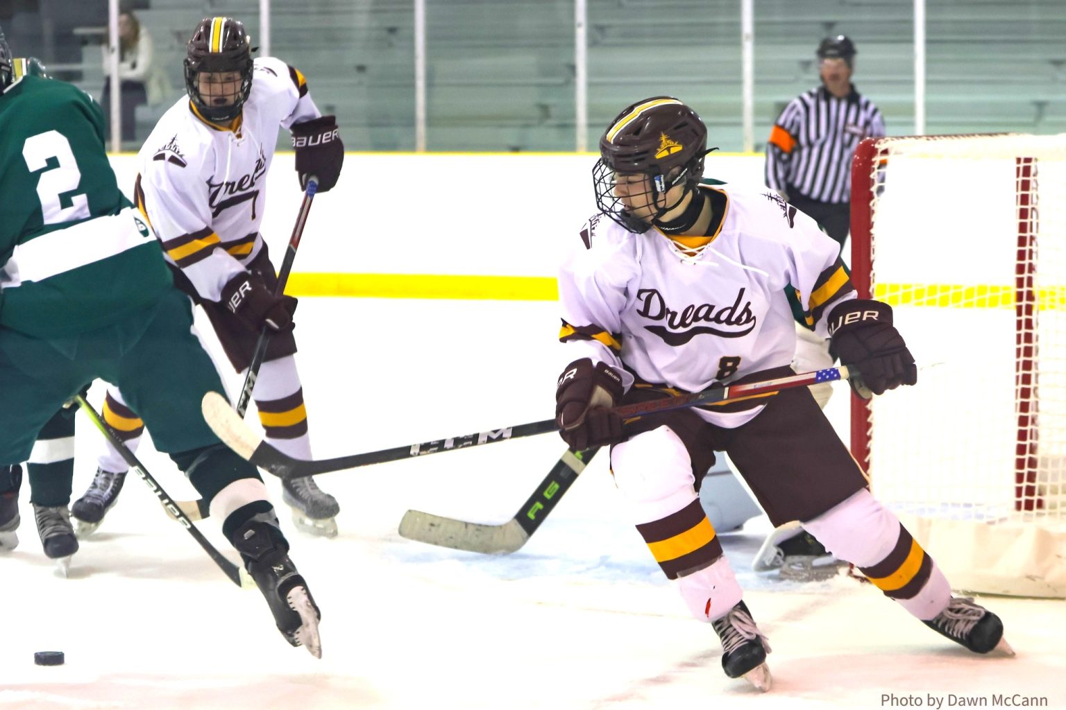 Dexter Hockey Evens Record at 2–2 After Winning Two of Three - The Sun ...