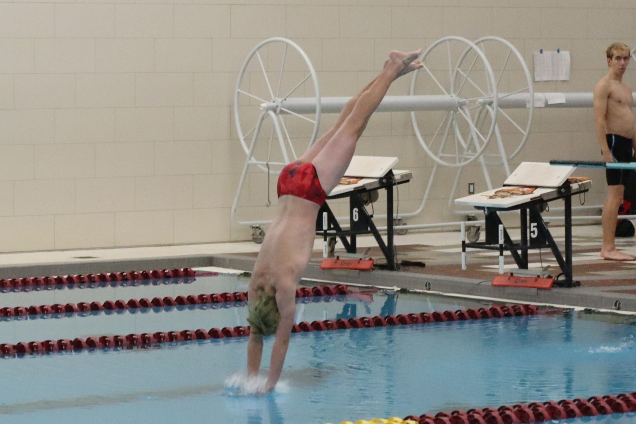 Milan Swim and Dive End Regular Season on a Good Note - The Sun Times News