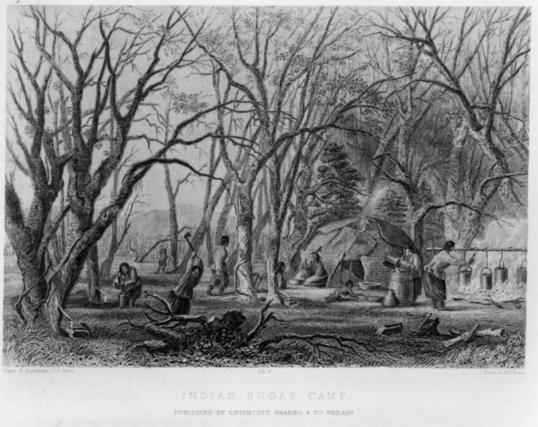 “Drawn from the Wood”: The Indigenous Roots of Michigan’s Maple Syrup ...